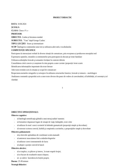 Proiect Didactic Pdf