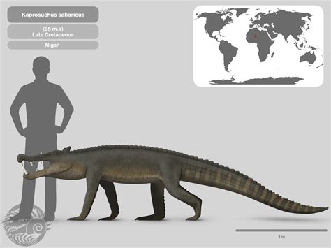 Kaprosuchus Size In Feet