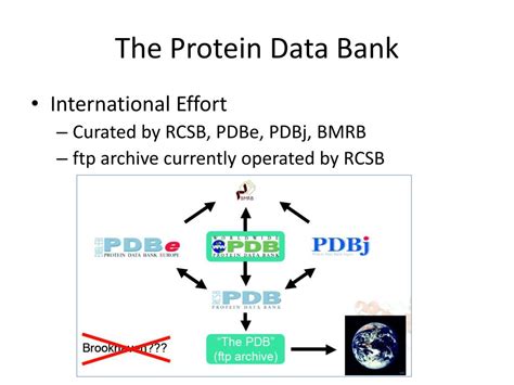 protein data bank