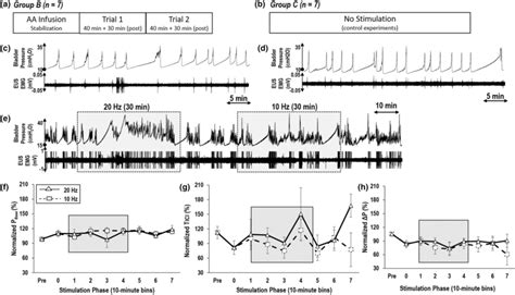 Experimental Protocol Of A Sn Stimulation In A Hyperactive Bladder