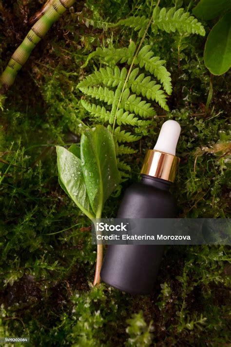 열대 잎과 나무가있는 녹색 배경에 피펫이있는 빈 호박색 유리 에센셜 오일 병 천연 유기농 화장품 개념 열대 스파 살롱 휴양지