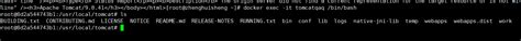 docker安装使用以及tomcat部署超级详解 docker tomcat csdn博客