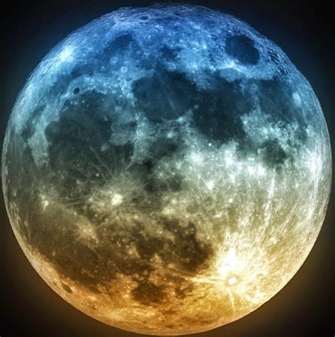 Kotlin Jdsl에서 Elementcollection 컬럼 조건 추가하기