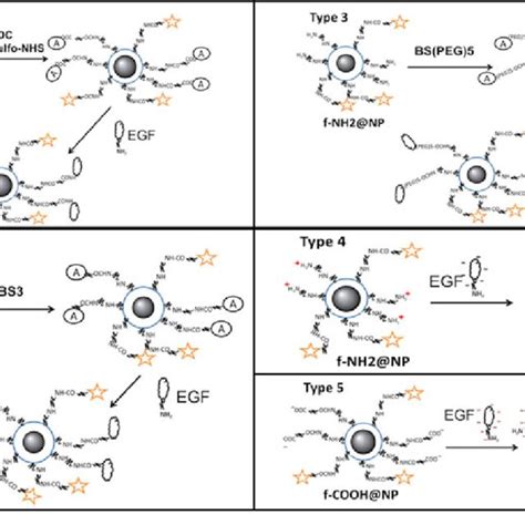 List Of Silica Coated Nanoparticle And Functionalized Nanoparticle Download Table