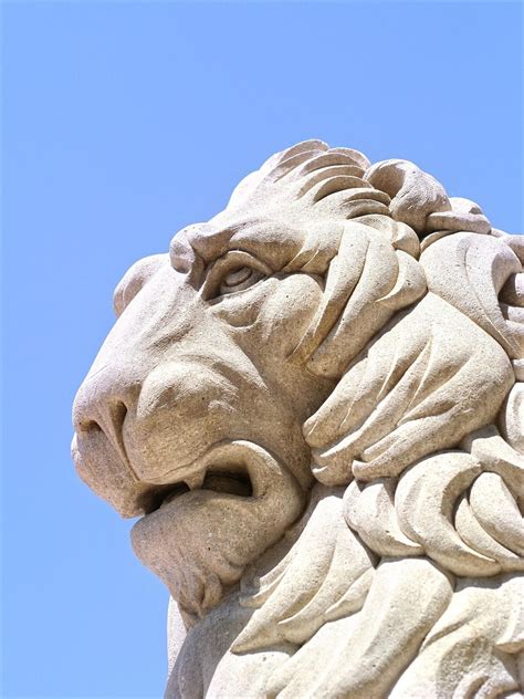 Lion Statue Wallpapers 4k Hd Backgrounds On Wallpaperbat