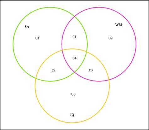 Commonality Analysis In The Current Study Sa Sustained Attention Wm