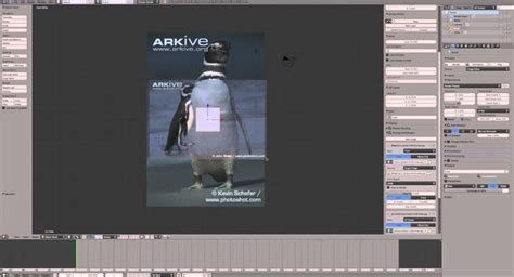 Adding Reference Background Images To Blender Background Images Reference Images Blender