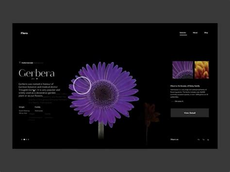 Develop Custom Frontend Websites And Web Applications By Skillking55