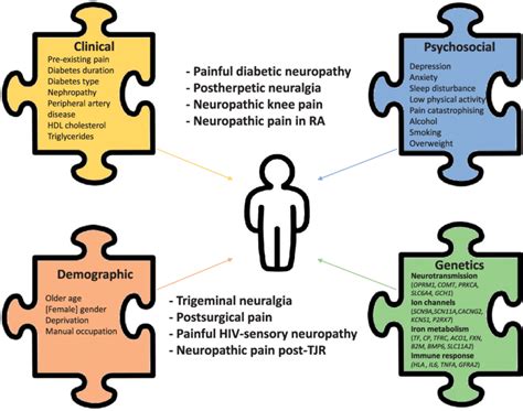 Summary Of Genetic And Nongenetic Factors Shown To Be Associated With