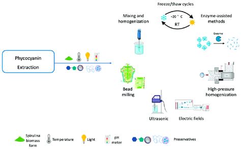 Extraction Methods For Phycocyanin Recovered From Spirulina And Use Of Download Scientific