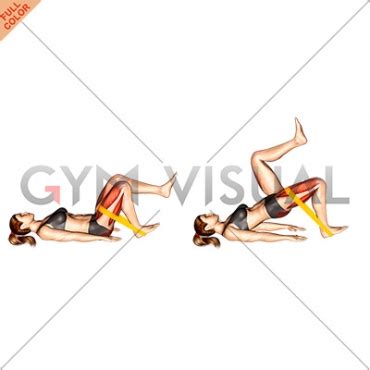 Resistance Band One Leg Glute Bridge Female Illustration