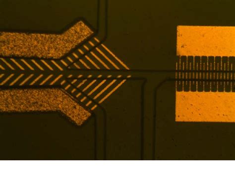Figure 2 From Smart Biosensor For Rapid And Simultaneous Detection Of