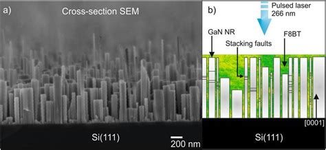 Gan Nr Sample A Cross Section Sem And B Illustration Of Download Scientific Diagram