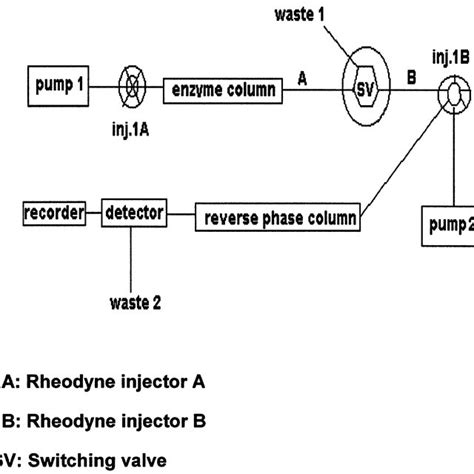 Diagram Of The On Line Hplc Injection System Download Scientific Diagram