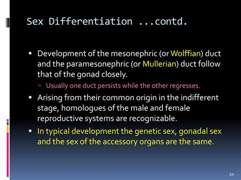 Ppt Anp502 Reproductive Physiology Of Farm Animals Powerpoint