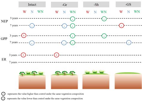 Study Shows Effects Of Vegetation Composition Warming And Nitrogen