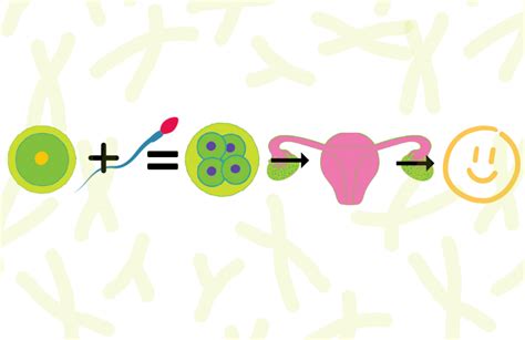 Science On Tap Science Beer Awesome