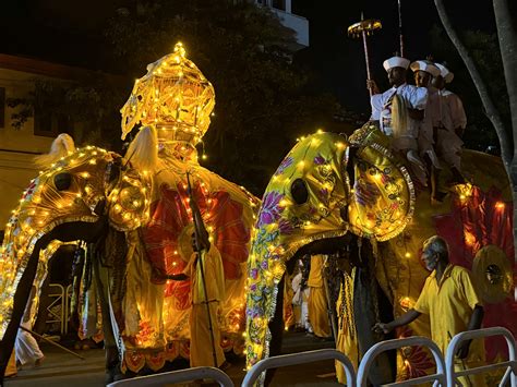 Kandy And The Perahera