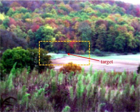 Color Online Rgb Representation Of The Multispectral Image Of The