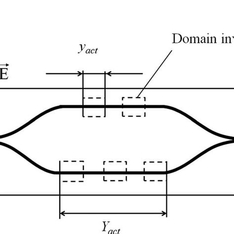 Asymmetrical Double Ridged Waveguide With Regular Inhomogeneities A
