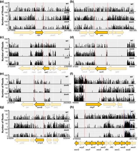 The Frequencies Of Transposon Insertions Decrease Significantly In