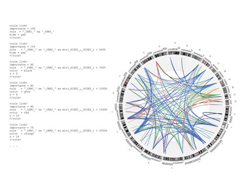 Introduction To Circos Circos Circular Genome Data Visualization
