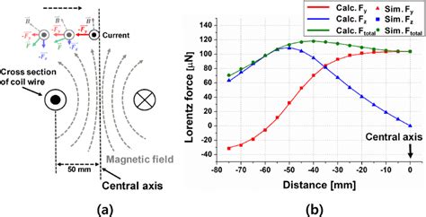 Magnetic Field Generated By Source Coil And The Generated Lorentz Force