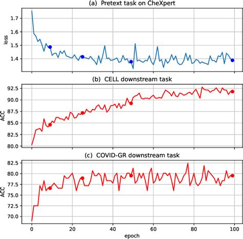 Figure 2 From Self Supervised Deep Convolutional Neural Network For
