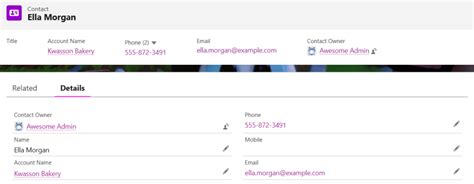 what is a salesforce database objects and fields explained