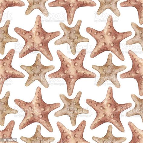 흰색 배경에 고립 된 빈티지 빨간 불가사리와 수채화 원활한 패턴 해양 컬렉션 가리비에 대한 스톡 벡터 아트 및 기타 이미지 가리비 개체 그룹 나선형 Istock