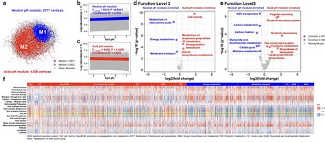 Bacterial Genome Size And Gene Functional Diver