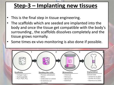 Organ And Tissue Engineeringexamples Ppt