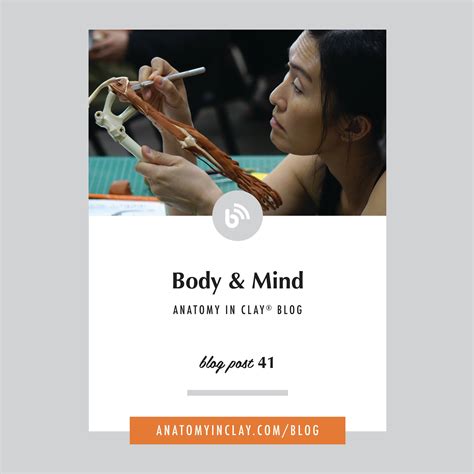 Yoga Teacher Jo Phee Is Anatomy In Clay® Learning System Facebook