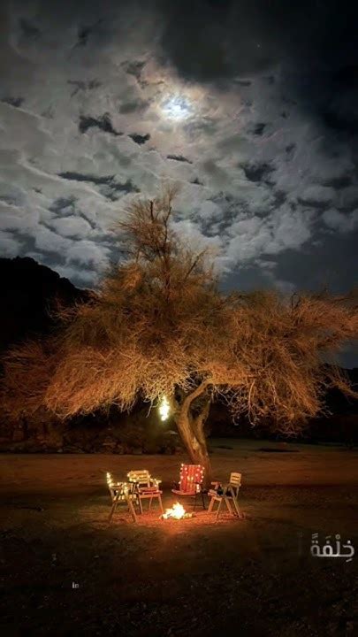 صبح را با تلاوت قرآن آغاز کن قرآنتلاوتقرآنصدایآسمانیقرآنکریمکلامخداآرامشدلنورالهی