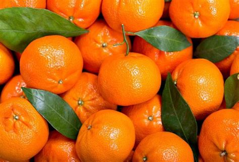 5 Good Reasons Why You Should Eat Mandarins Every Day Womens Alphabet