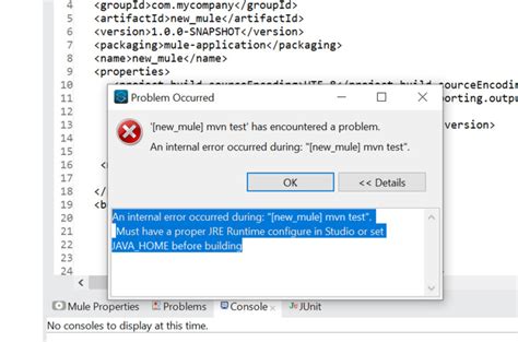getting an internal error occurred during [new mule] mvn test must