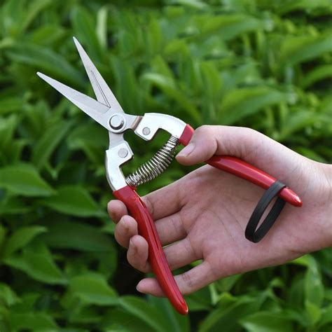 Florist Shears Description At Cynthia Jasmin Blog