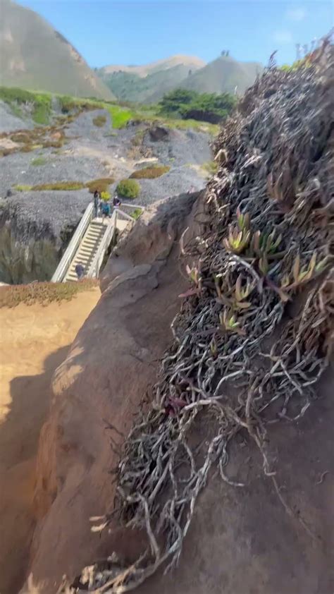 Cutely Sits On A Cliff🤷‍♂️🫶 Music Song Lyrics Relatible Shorts Youtube