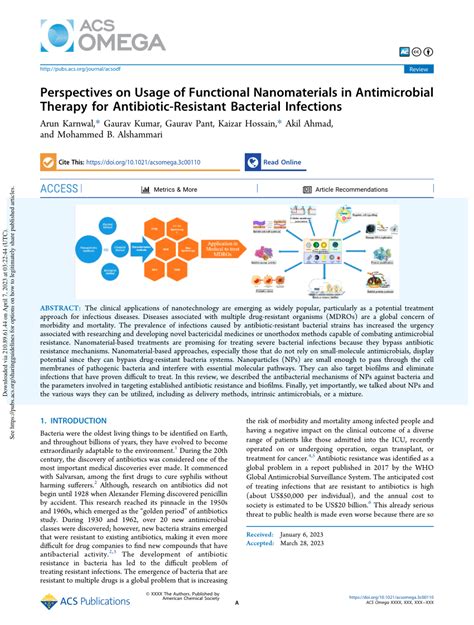 Pdf Perspectives On Usage Of Functional Nanomaterials In