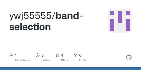 github ywj55555 band selection