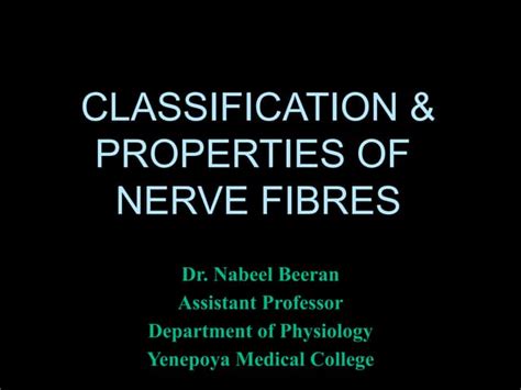 2 Classification A Properties Of Nerve Fibres Pptx