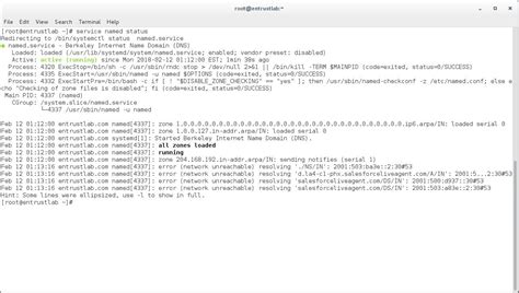 how to create a txt record on bind dns for entrust email validation