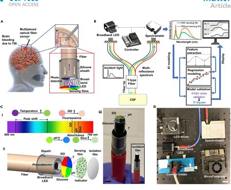 figure 1 from multiplexed optical fiber sensors for dynamic brain
