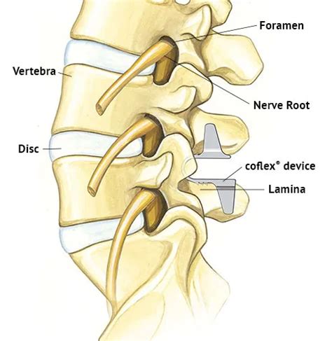 Clinical Services Consulting Orthopaedic Associates