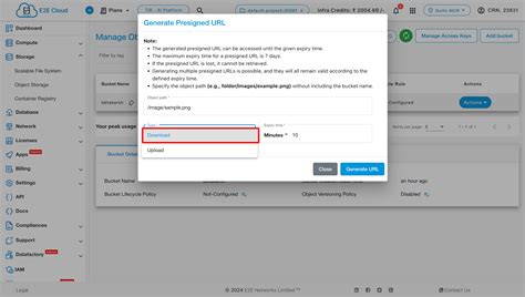 actions on object storage e2e cloud