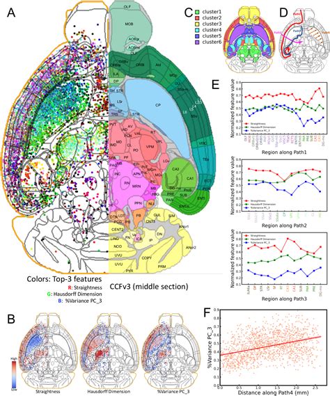 Figure 3 From Full Spectrum Neuronal Diversity And Stereotypy Through