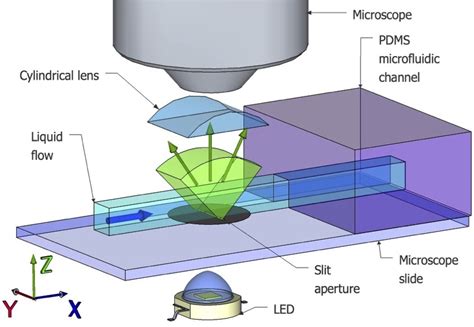 Flow Scanning Microfluidic Imaging Intechopen