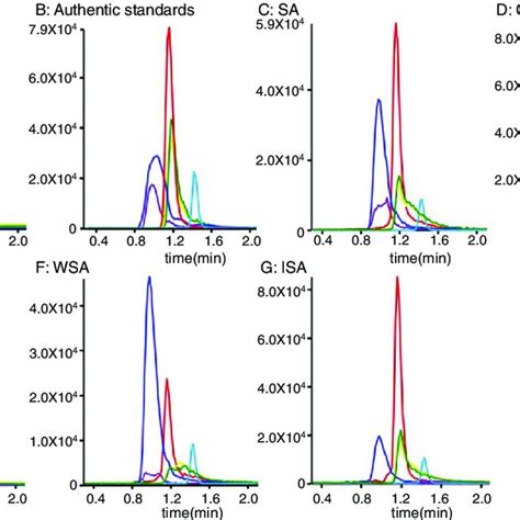 Representative Multiple Reaction Monitoring Mrm Chromatograms Of