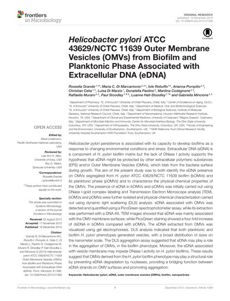 Pdf Helicobacter Pylori Atcc 43629 Nctc 11639 Outer Membrane Vesicles Omvs From Biofilm And