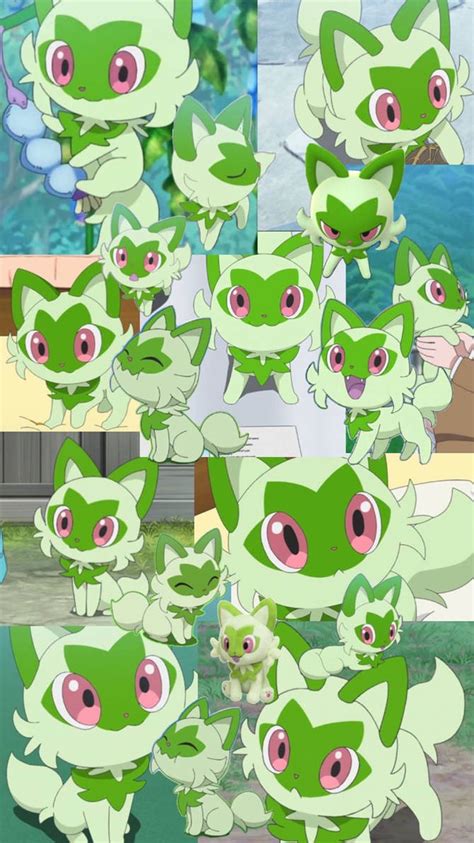 Sprigatito Collage By The Tang Man On Deviantart